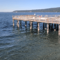 Orcasound - Bush Point