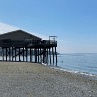 Orcasound - MaST Center Aquarium